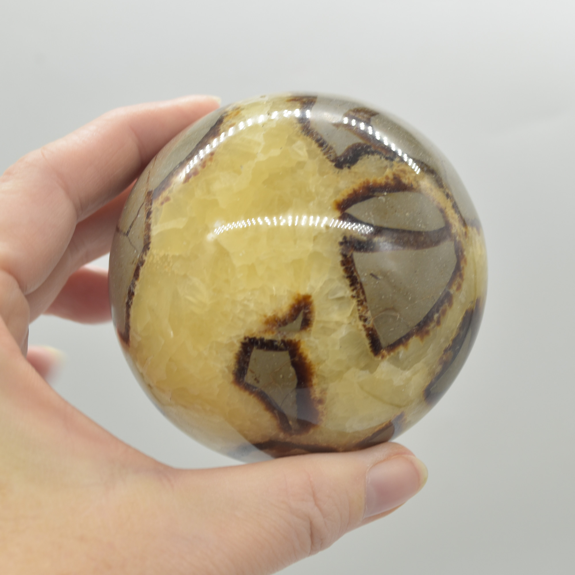Septarian (AKA Dragon Stone) Crystal Sphere Ball – 588 grams – 6.5cm ...