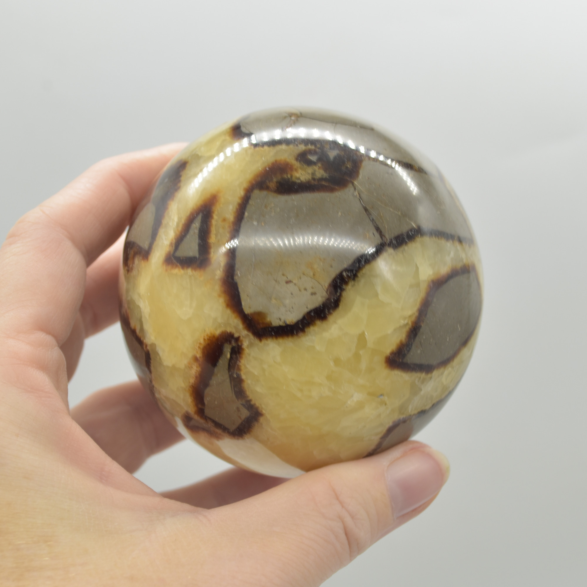 Septarian (AKA Dragon Stone) Crystal Sphere Ball – 588 grams – 6.5cm ...